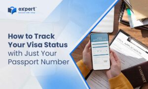 How to Track Your Visa Status with Just Your Passport Number